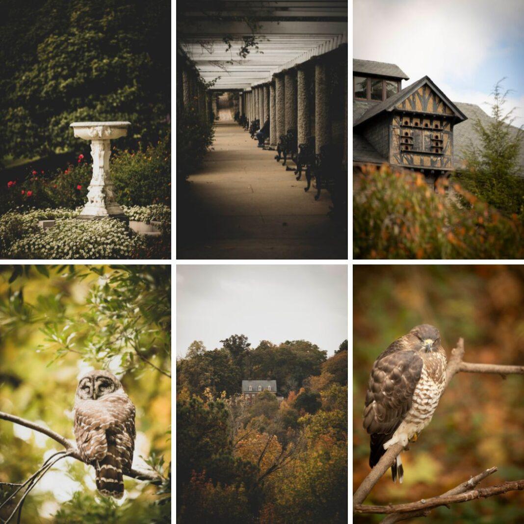 Welcome to Fort Gregg Adams, Virginia: A Military Spouse’s Insider Tips ...