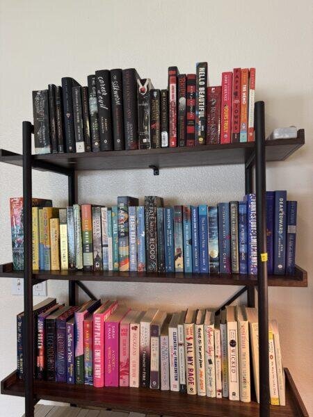 I Read 100+ Books in a Year. Here’s How and What I Recommend.